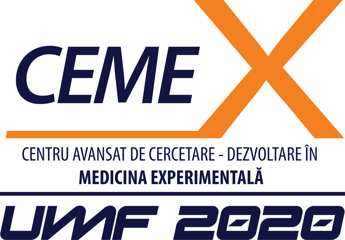 CEMEX | Viorel Scripcariu | 2024 - 2029